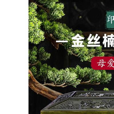 金丝楠木阴沉木骨灰盒高档实木小叶桢楠寿盒乌木棺材寿材定制北京