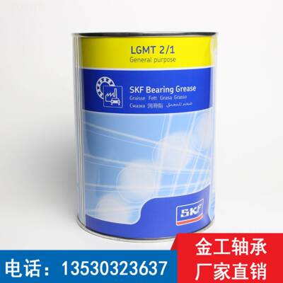 瑞典SKF GMT3H/1LGMT3/1L 2LGMT2H/1 LGM2T3/1 LGMT/1 LGHP2/1 LG
