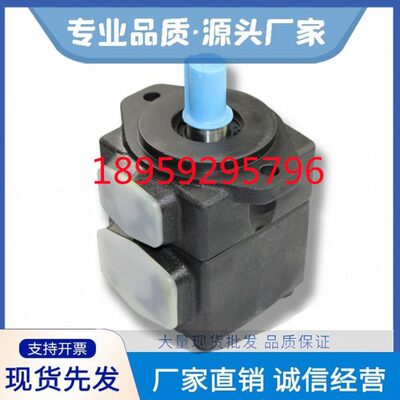 PV2R1-31/28/25/23台湾油研19/17叶片14/12油泵10/8/6/4-F-RAA-41