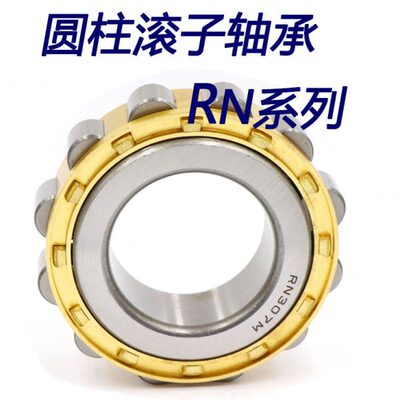 圆柱滚子轴承RN 213 214 215 216 217  218 219 220  221  224 EM