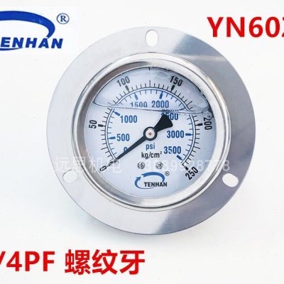 TENHAN YN60ZT 轴向不锈钢外壳耐震压力表 YN60ZT-250KG/3500PSI