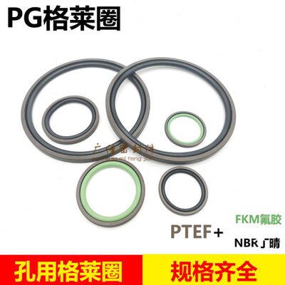PG/GL格来圈油封孔用 PTFE 290 269/300 279/310 289/320 299 8.1