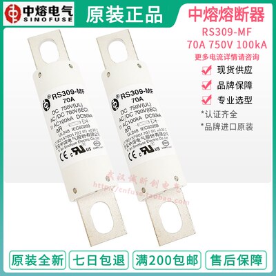 中熔新能源熔断器 RS309-MF 40A50A60A70A80A100A125A150A 750VDC
