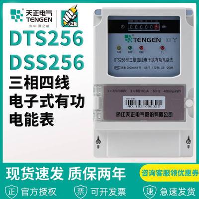浙江天正电气电子式电能表DTS256/DSS256型三相四线单相