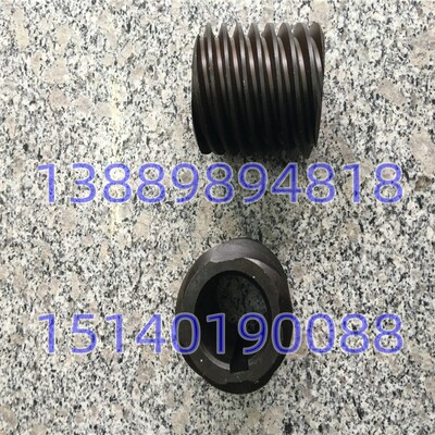 天水安阳沈阳机床配件 CW61100B CW61125B 溜板箱 蜗杆 车床配件