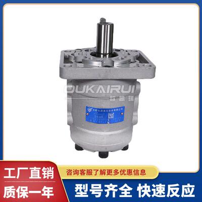 合肥长源液压齿轮泵CBTD-F425/F426.5/F430/F432-ALPL/AFPL/ALH4L