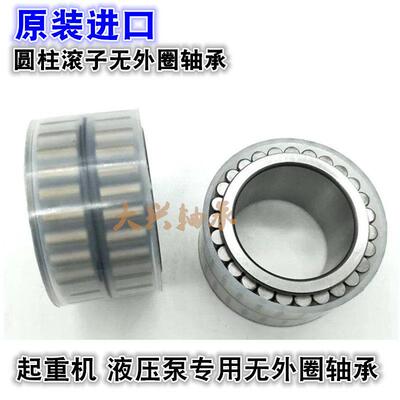 进口品质VTYG无外圈圆柱滚子轴承RN204 306 V RSL 185011 183012