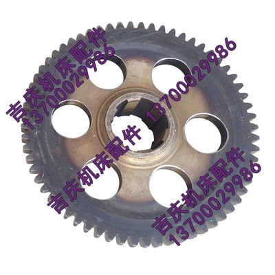 沈阳中捷镗床配件TPX6113 T6113齿轮21316 Z55 Z64原厂齿轮 六孔