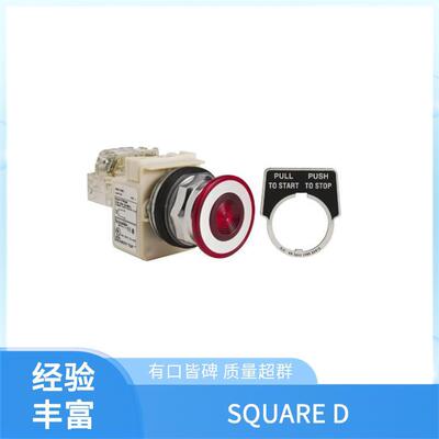 SQUARED限位开关9007C54N2Y