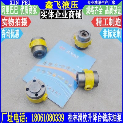 X5646 XS5646/1 X5746桂林万能数显滑枕升降台铣床油泵润滑泵配件