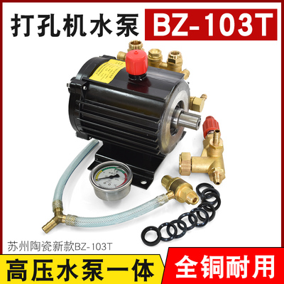 穿孔机配件 细孔放电 打孔机高压水泵 BZ-103T 陶瓷新款 650/套