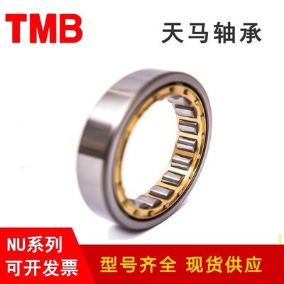 国产 TMB 天马 轴承 NU 213 214 215 216 217 218 219 220 E EM