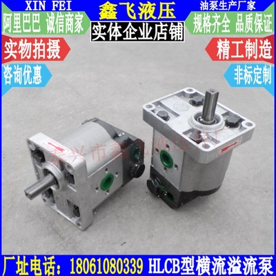 HLCB-D00 06 6 10 12 16 20 14 18恒流溢流泵ZWCB溢流齿轮油泵25
