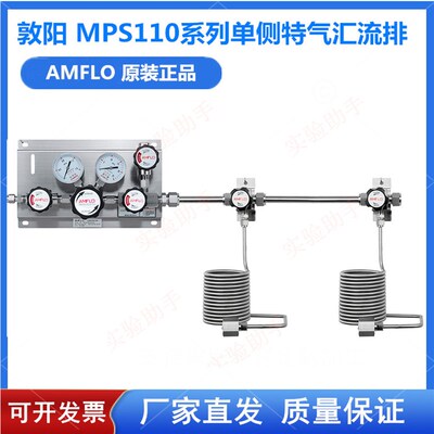 敦阳AMFLO MPS110系列单侧特气汇流排 特气减压装置 单侧汇流钢瓶