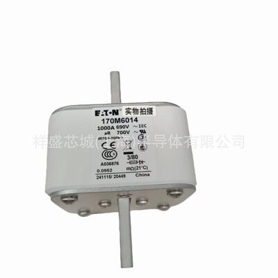 170M6497   170M6499  熔断器 全新原装 量大优惠 现货速发