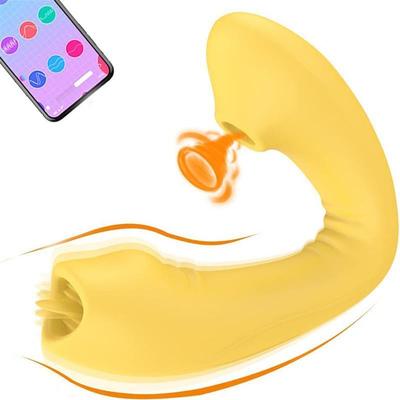 Bluetooth APP Dildo Vibrator Panty Adults Sex Toys for Women