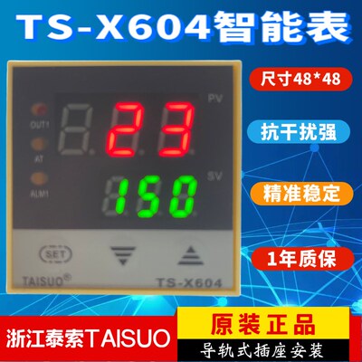 TAISUO浙江泰索科技TS-X604导轨式温控仪TS604-4001高精度智能表