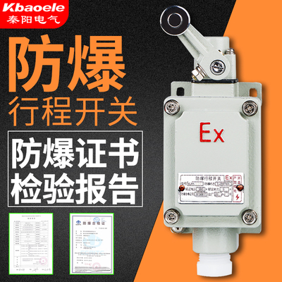 EX防爆行程开关 限位开关LX5 DLXK-15B 110L 110Z 211B 221 212