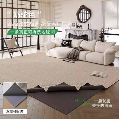 可机款kcx20120洗地毯室新客厅双层发可拆洗水洗纯色沙卧雪尼尔家