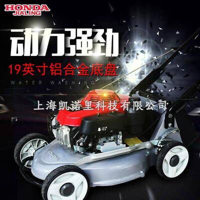 原装HRJ196草坪机推式草车HRJ196机坪自走式剪草四冲程动力三手档