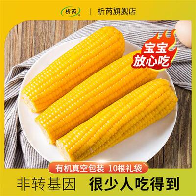 析芮东北黄糯玉米10根 玉米软糯香甜真空甜黏粘新鲜粗粮代餐