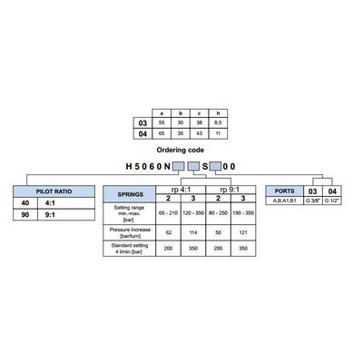 意大利NEM双向平衡阀H5060N403S0300 油口G3/8 压力350bar