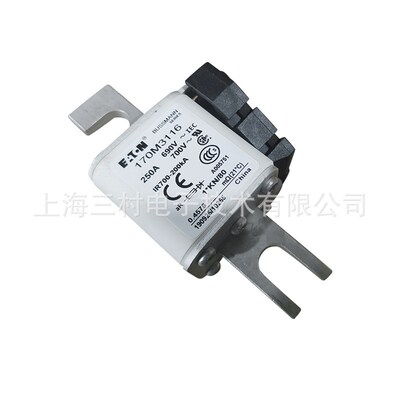 全新原装快速熔断器保险丝170M2984 170M3008 170M3009 170M3010