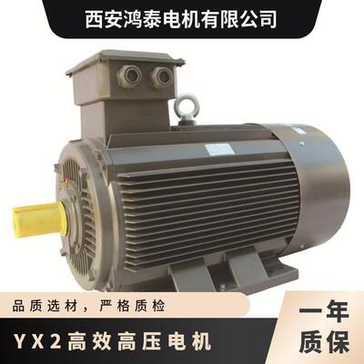 鸿泰高三相平异QIT步电机tYX2-3551-4t18性5KWt6KVt压运行稳能好