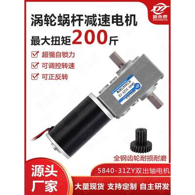 5840-31ZYS微型涡轮蜗杆直流减速电机低速调速小马达12v24v双出轴
