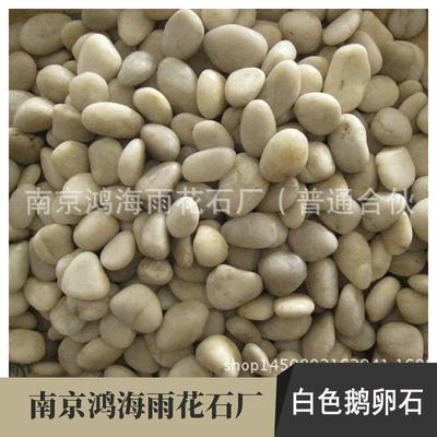 园景造景专石用南观京白色雨花石林抛光鹅卵园林用石子白SEV色雨