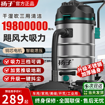 扬子工业吸尘器工业用大吸力商用大功率工厂车间粉尘强力吸尘机