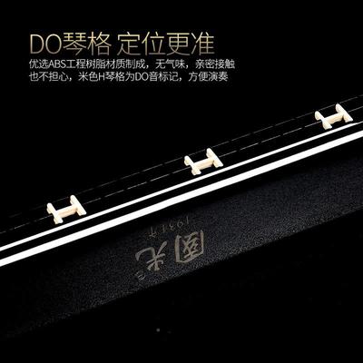 国光BZO国之梦2824孔口琴复音者C学调初学儿童成人入门专生业演奏