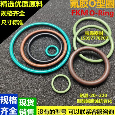 氟胶O型圈内304.17/316.87/329.57/342.27/354.97/367.67*6.99
