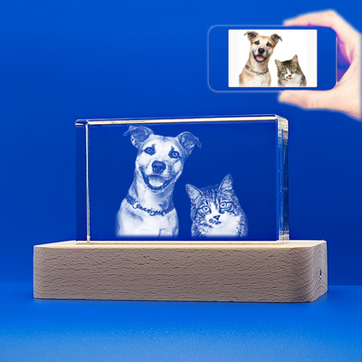 宠物纪念品定制 狗猫3D水晶内雕送闺蜜创意生日礼物定制水晶摆件