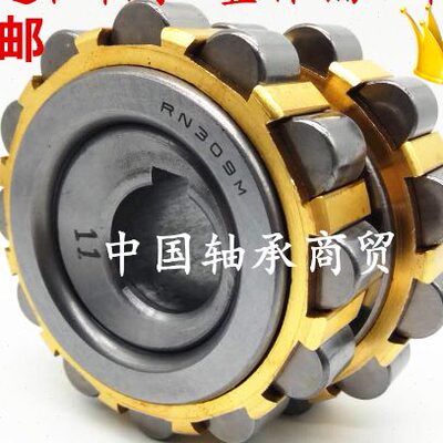 摆线针轮减速机配件圆柱滚子整体偏心轴承RN312M偏心套RN219