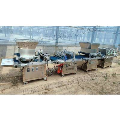 穴IGW自动穴混盘育苗机全蔬菜盘育苗播种机电气合园林花卉点播机