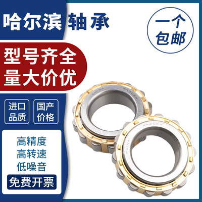 哈尔滨圆柱滚子轴承 RN405 406 407 408 409 410 411 412 413 EM