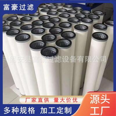D407SV19.000007滤油机S聚结滤HJF芯100*500航空煤油加车过滤油器