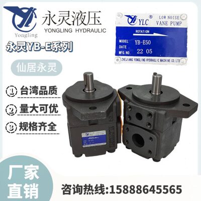 仙居YLC永灵YB-E63叶片泵YB-E50/40/32/80/100/125/160/YB-E200油