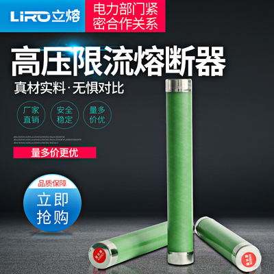 立熔户内XRNT-10/2A-25A高压限流熔断器PT互感器保险管熔丝40*350