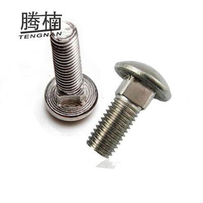 腾楠304不锈钢DIN603大头马车螺栓半圆头方颈螺栓M6M8货架螺丝