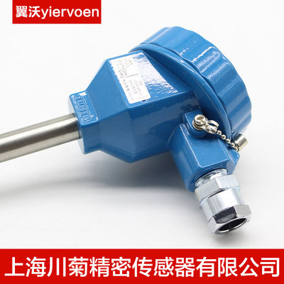 Pt100防爆热电阻 WZP-240 螺纹安装防爆热电偶 温度传感器探头316