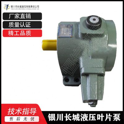 银川长城变量液压叶片泵YBX-B10 YBX-B20 YBX-20B YBX-32高压油泵