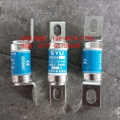 保险管 快速熔断器 RGS4A 125A 150A 160A 200A 660V 厚件 全铜