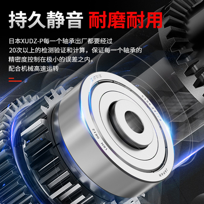 日本进口轴承型号6201高速6202/6203/6204/6205大全6200RS6206 P2