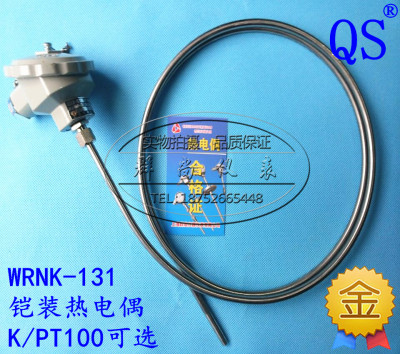 K/PT100型 铠装热电偶WRNk-131 电炉测温 装配式热电偶 0-1100度