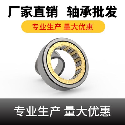 LUT二类圆柱滚子高速轴承NJ1008 1009 1010 1011 1012 EM