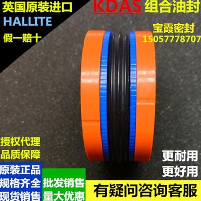 进口DAS组合油封100*75/100*82/100*86/110*85/*92/115*90/120/95