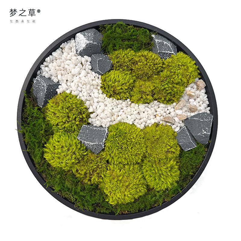 软装永生苔藓造景相框青苔微景观绿植新中式