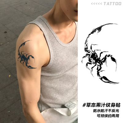 新款毒蝎子草本纹身贴